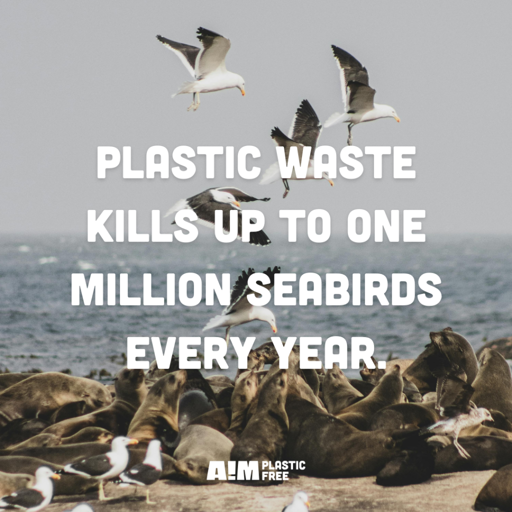 10 Shocking Facts About Plastic Pollution You Need To Know - Aim ...